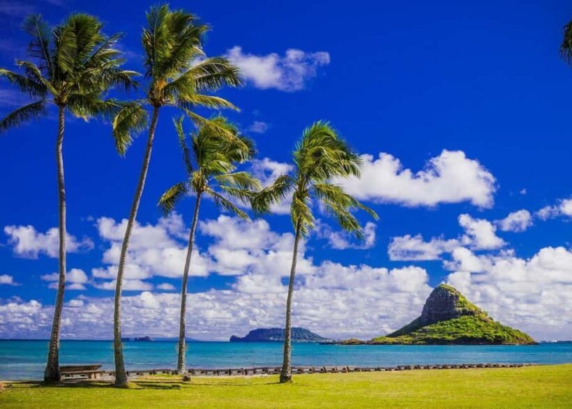 Oahu: Grand Circle Island Tour with Haleiwa - A Detailed Look at the Tour Experience
