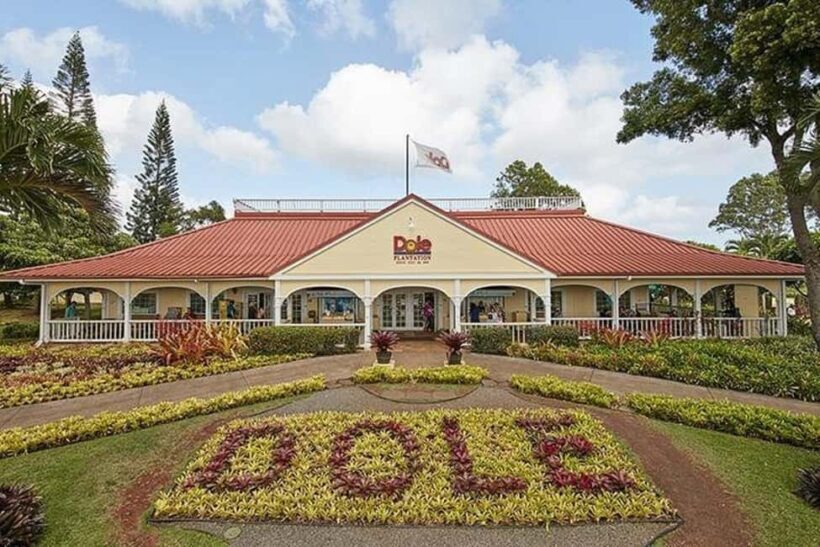 Oahu: Grand Circle Island Tour with Haleiwa - Who Should Consider This Tour?