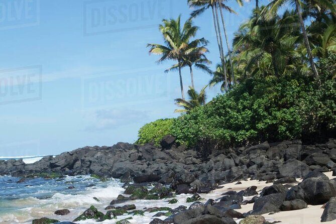 OAHU GRAND CIRCLE Waimea Waterfall, Turtle Beach, North Shore. - What’s Included and What’s Not