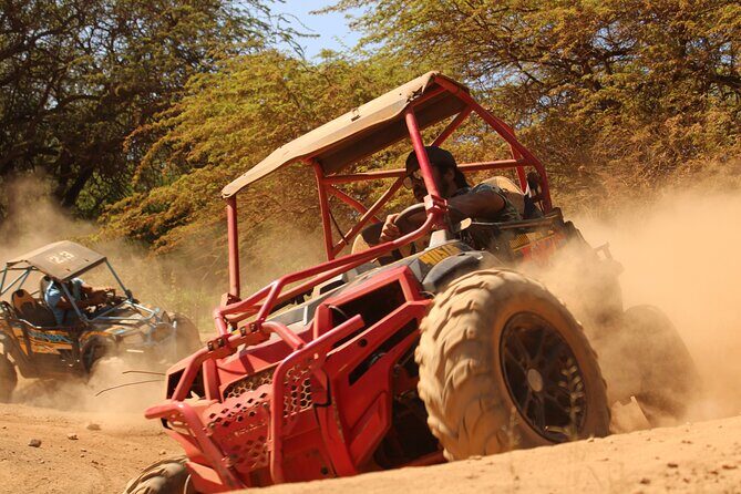 Oahu Guided Off-Road ATV Adventure from Waikiki -Round Trip Trans - Is This Tour Right for You?