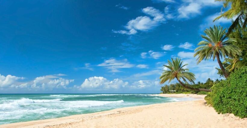 Oahu: Guided Tour of North Shore and Waimea Botanical Garden - Who Will Enjoy This Tour?