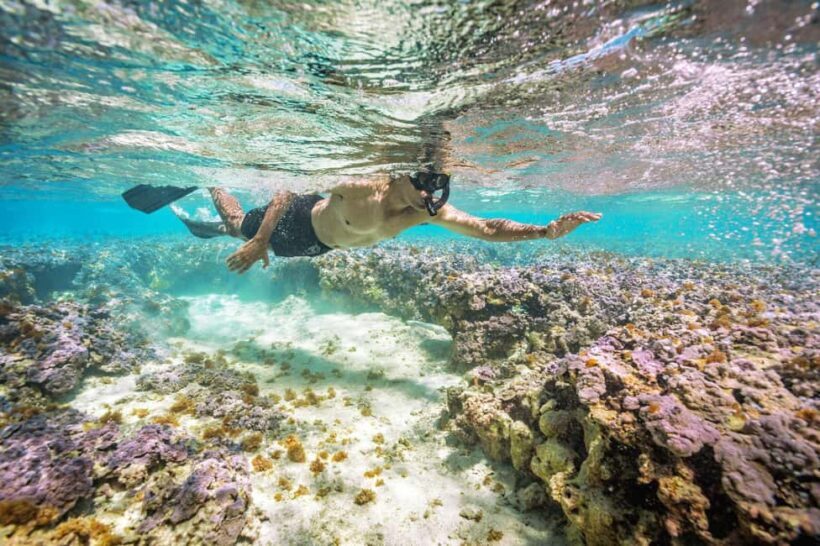 Oahu : Hanauma Bay Admission Ticket+Equipment Rental - Who Will Love This Package?