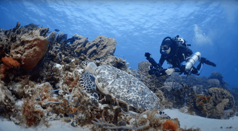 Oahu : Hanauma Bay Reservation+Equipment Rental - Key Points