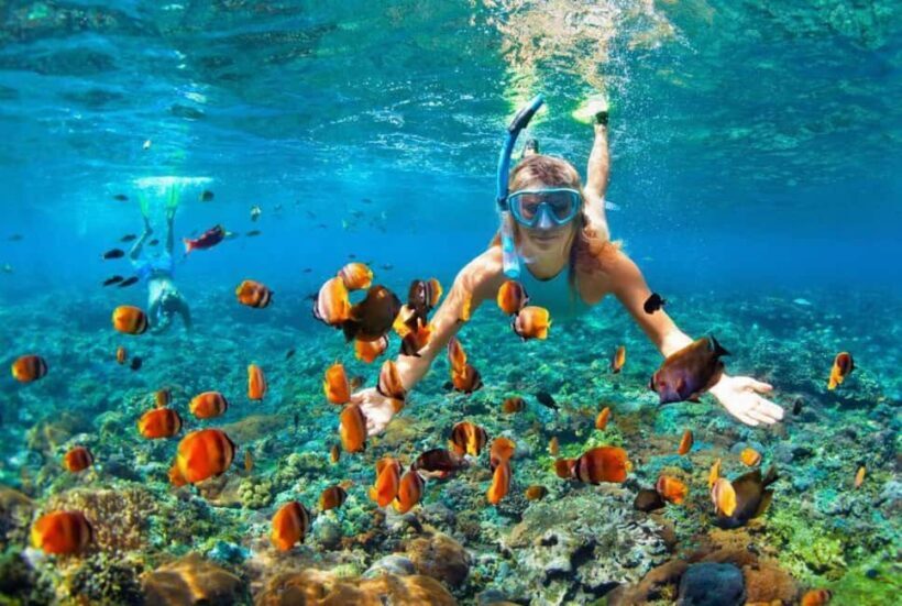Oahu: Hawaii Grand Circle Island Tour - Discover Oahu with the Hawaii Grand Circle Island Tour