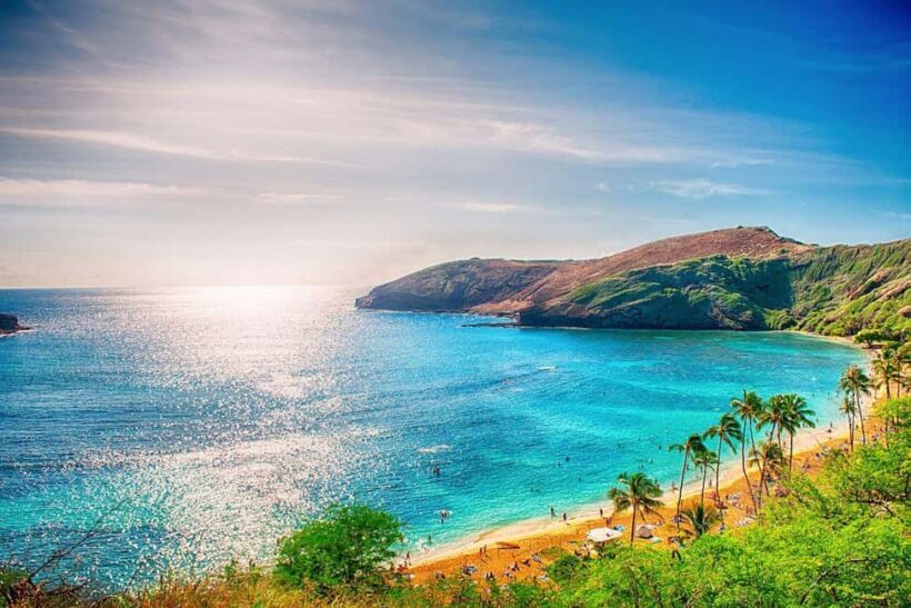 Oahu: Hawaii Grand Circle Island Tour - Key Points