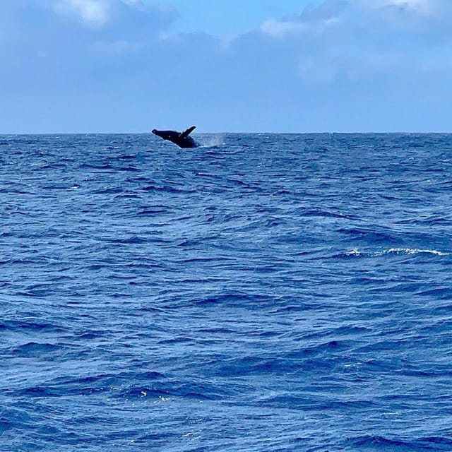 Oahu Hawaii: Honolulu Sailing Tour - The Sum Up