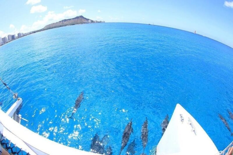 Oahu Hawaii: Honolulu Sailing Tour - FAQ About the Honolulu Sailing Tour