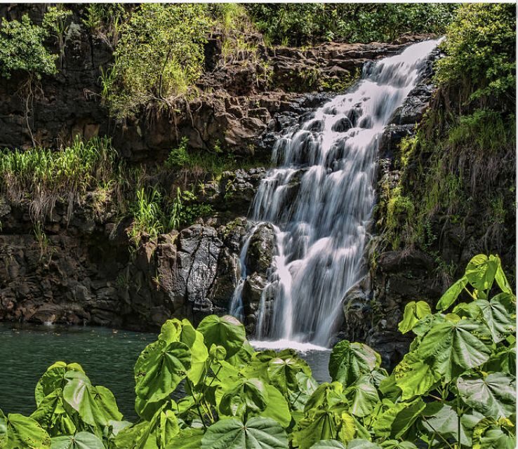 Oahu Hidden Gems & Waimea Botanical Garden/Waterfall tour - A Detailed Look at What to Expect