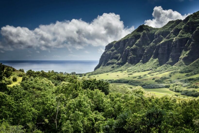 Oahu Hidden Gems & Waimea Botanical Garden/Waterfall tour - Who Should Consider This Tour?