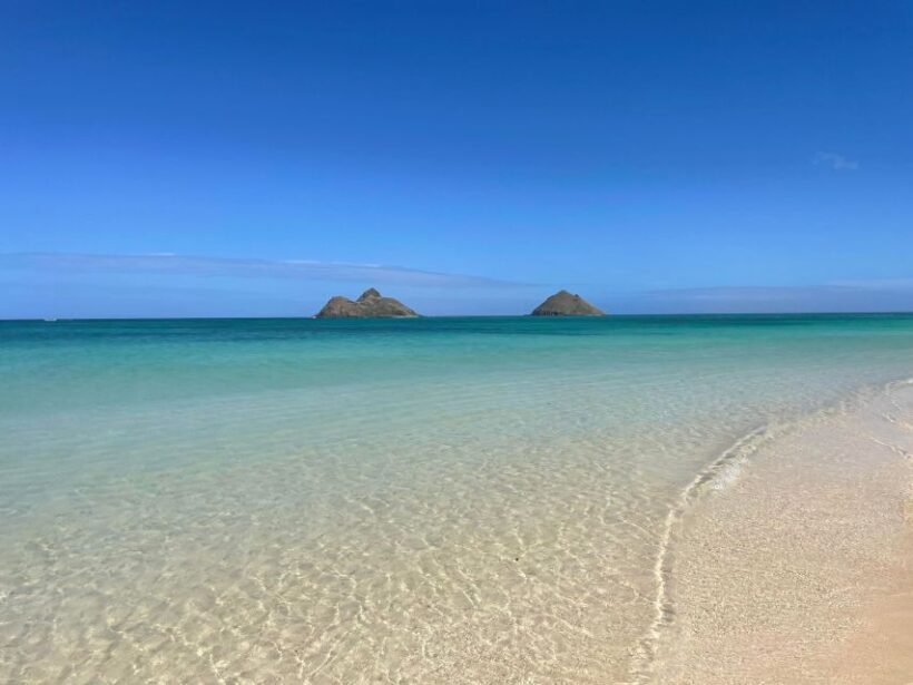 Oahu: Hidden Hawaii Waterfall Hike and Beach Tour - Final Thoughts