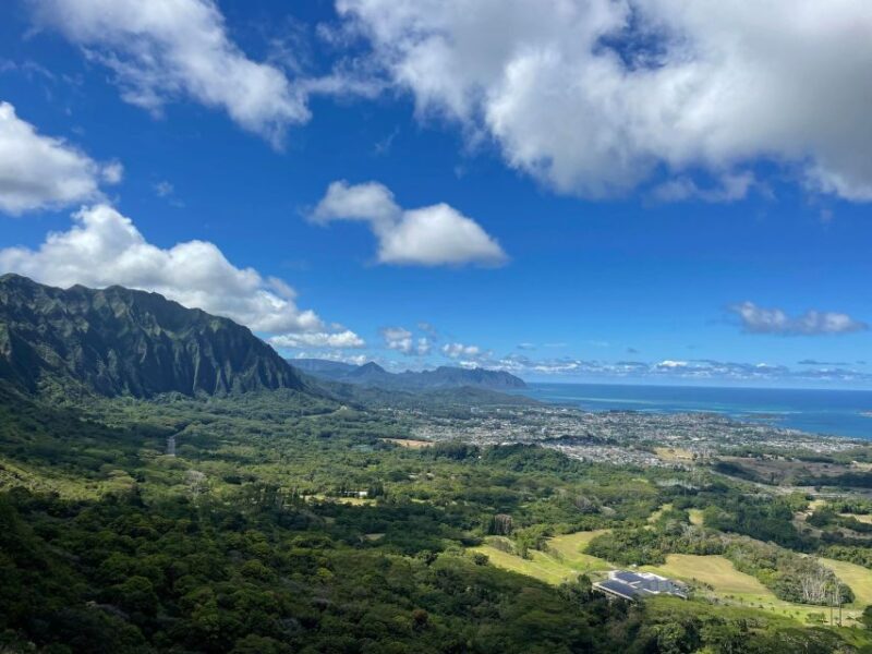 Oahu: Hidden Hawaii Waterfall Hike and Beach Tour - What the Reviews Say About This Tour