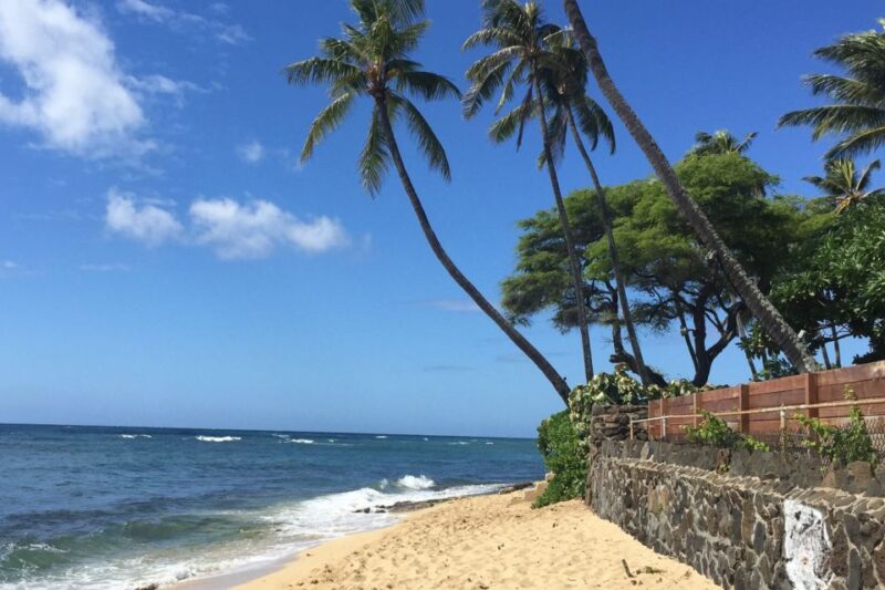 Oahu: Highlights of Oahu Small Group Tour - Authentic Insights from Travelers