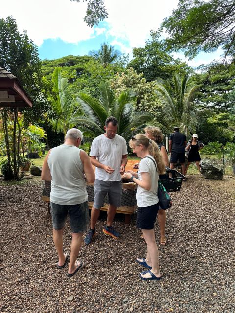 Oahu: Highlights of Oahu Small Group Tour - The Practicalities: What’s Included and What’s Not