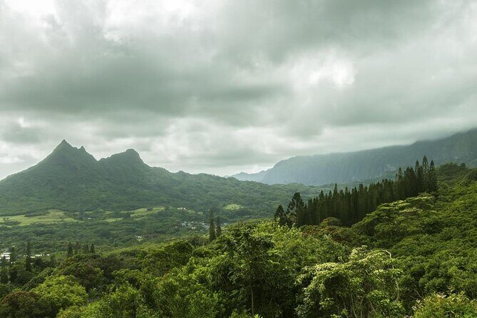 Oahu Highlights Private Guided Tour: Landmarks & Architecture - Why Choose the Oahu Highlights Private Guided Tour?