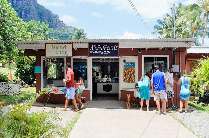 Oahu Highlights Private Tour: Nature, Views & Turtles in 6 Hours - Who Will Love This Tour?