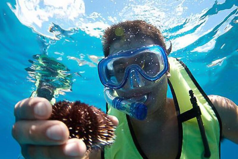 Oahu: Hilton Hawaiian Village Snorkel Tour - An Overview of What to Expect