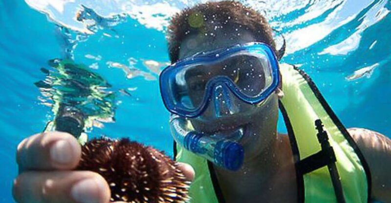 Oahu: Hilton Hawaiian Village Snorkel Tour - Snorkeling Adventure: What You’ll Encounter