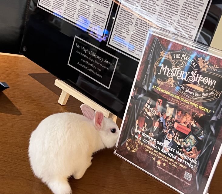 Oahu: Hilton Waikiki Beach Hotel Magical Mystery Show - Final Thoughts: Who Will Love This?