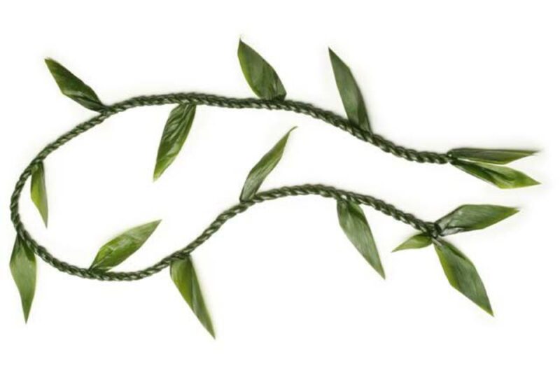 Oahu: Honolulu Airport (HNL) Traditional Lei Greeting - The Guides Role and Recommendations