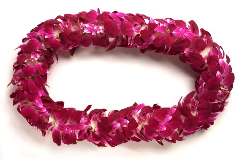 Oahu: Honolulu Airport (HNL) Traditional Lei Greeting - Practical Details and Logistics
