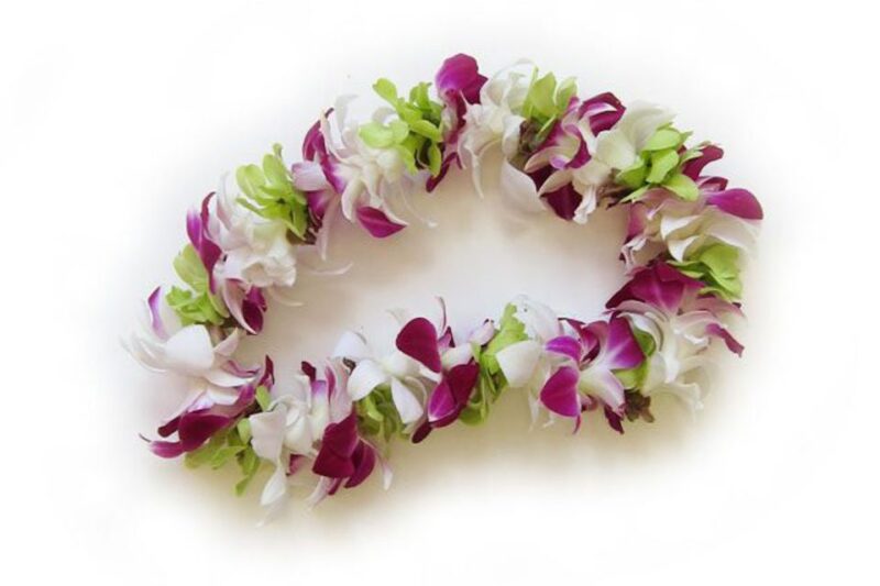 Oahu: Honolulu Airport (HNL) Traditional Lei Greeting - Authenticity and Guest Feedback