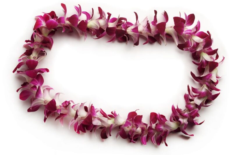Oahu: Honolulu Airport (HNL) Traditional Lei Greeting - The Sum Up: Who Will Love This Experience?