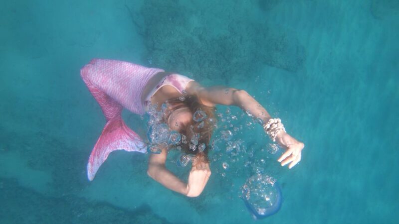 Oahu: Honolulu Mermaid Snorkel Adventure with Videos - What to Expect from the Honolulu Mermaid Snorkel Adventure