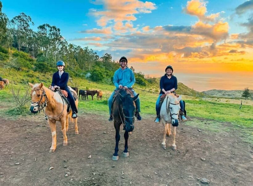 Oahu: Horseback Riding Sunshine or Sunset Tour - An In-Depth Look at the Oahu Horseback Tour
