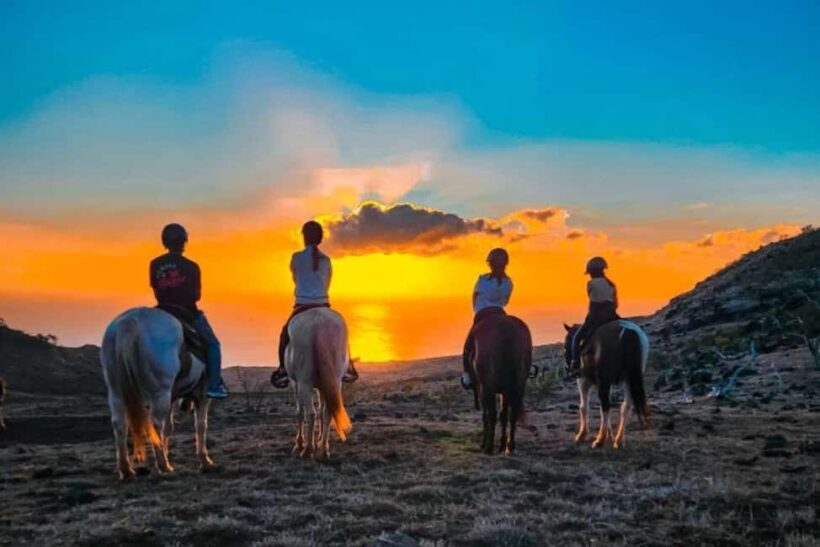 Oahu: Horseback Riding Sunshine or Sunset Tour - The Sum Up: Who Will Enjoy This?