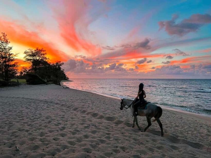 Oahu: Horseback Riding Tour on the North Shore - What’s Included and What’s Not?