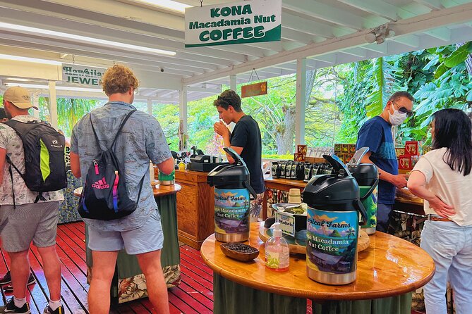 Oahu Island Experience feat the North Shore (Small Group Tour) - Return to Waikiki