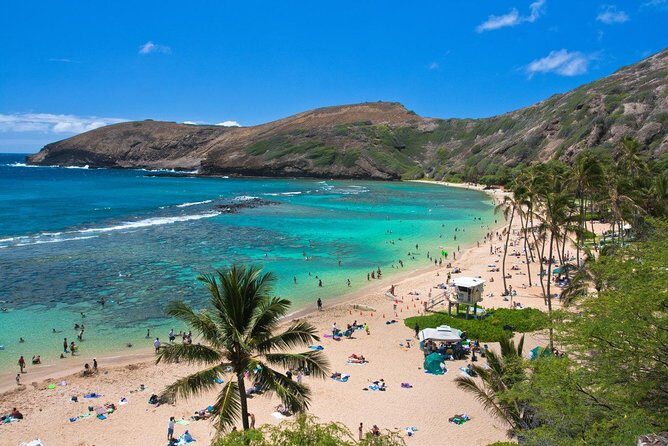 Oahu Island Full-Day Sightseeing Tour - Authentic Experiences and Local Flavor