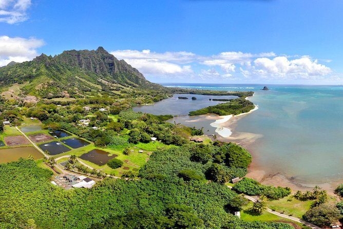 Oahu Island Full-Day Sightseeing Tour - Who Should Consider This Tour?