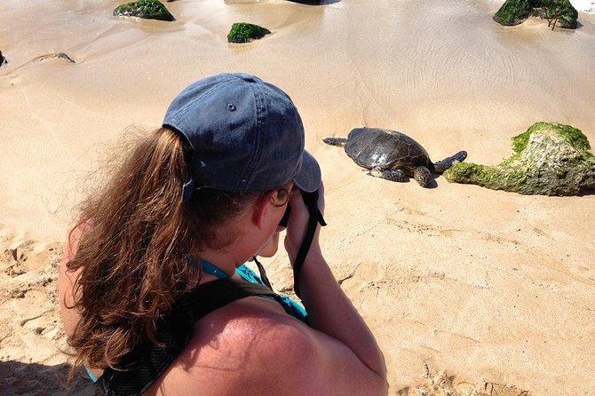 Oahu Island Photography Tour - Exploring Oahus Natural Wonders