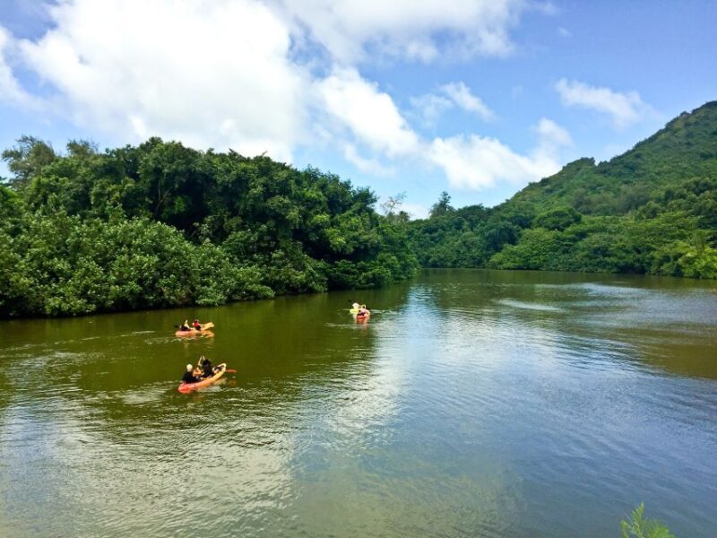 Oahu: Kahana Rainforest River 4-Hour Kayak Rental - The Value and Practicalities