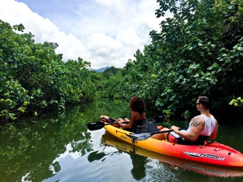 Oahu: Kahana Rainforest River 4-Hour Kayak Rental - Authentic Experiences from Past Participants