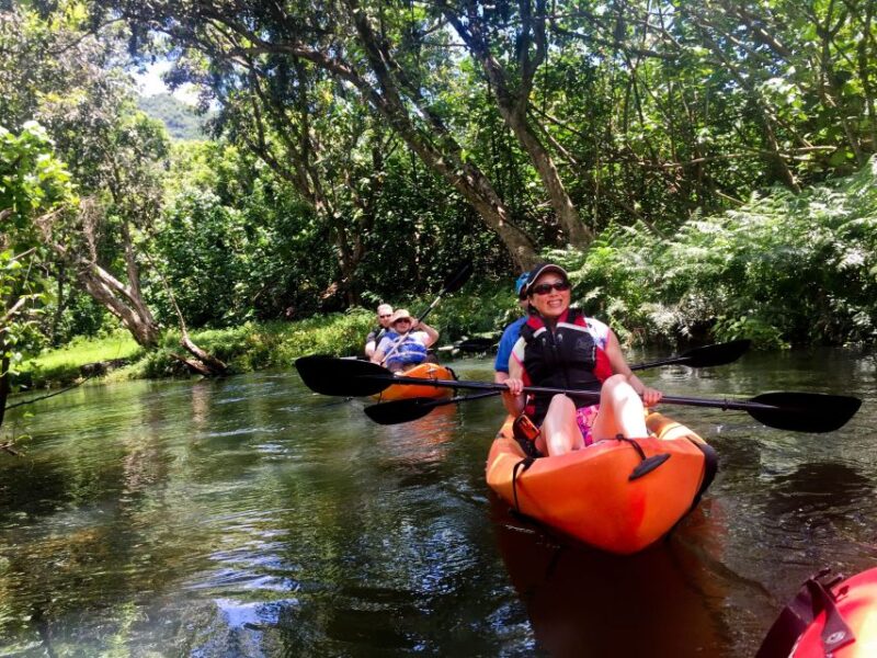 Oahu: Kahana Rainforest River 4-Hour Kayak Rental - Who Might Want to Consider Other Options