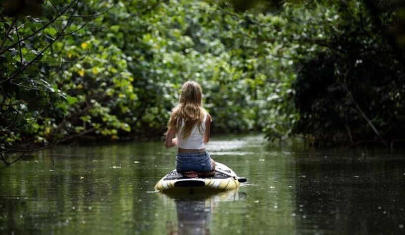 Oahu: Kahana River Stand-Up Paddleboard Rental - Practical Details and Tips