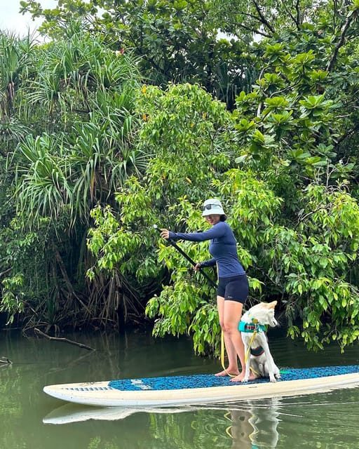 Oahu: Kahana River Stand-Up Paddleboard Rental - Who Should Book This?