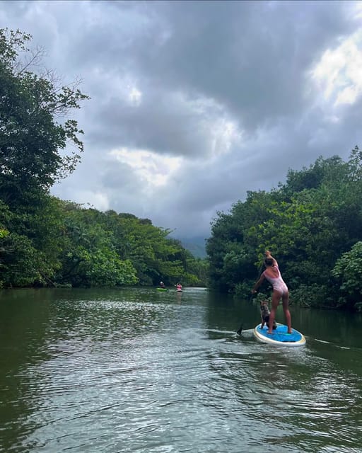 Oahu: Kahana River Stand-Up Paddleboard Rental - The Practical Side: Booking, Cost, and Group Size