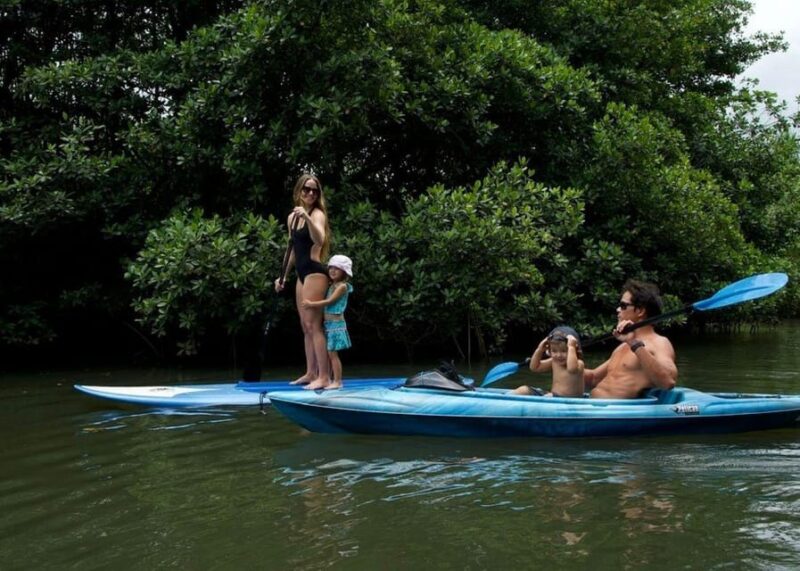 Oahu: Kahana River Stand-Up Paddleboard Rental - A Closer Look at the Experience