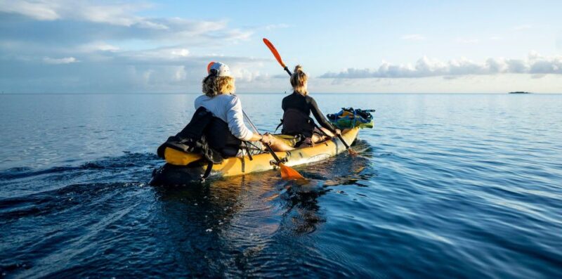 Oahu: Kaneohe Bay Coral Reef Kayaking Rental - What You Can Expect from Your Kayaking Day in Kaneohe Bay