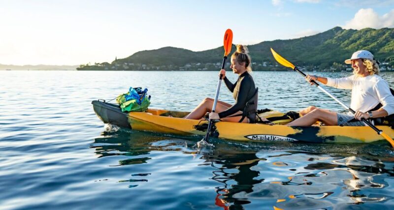 Oahu: Kaneohe Bay Coral Reef Kayaking Rental - Wildlife, Reefs, and Scenic Highlights