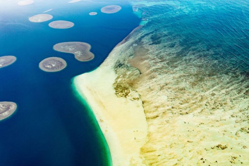 Oahu: Kaneohe Self-Guided Sandbar Kayaking Experience - Practical Considerations