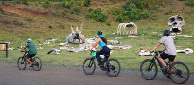 Oahu: Kualoa Electric Bike Tour - The Experience: What to Expect from the Kualoa Electric Bike Tour