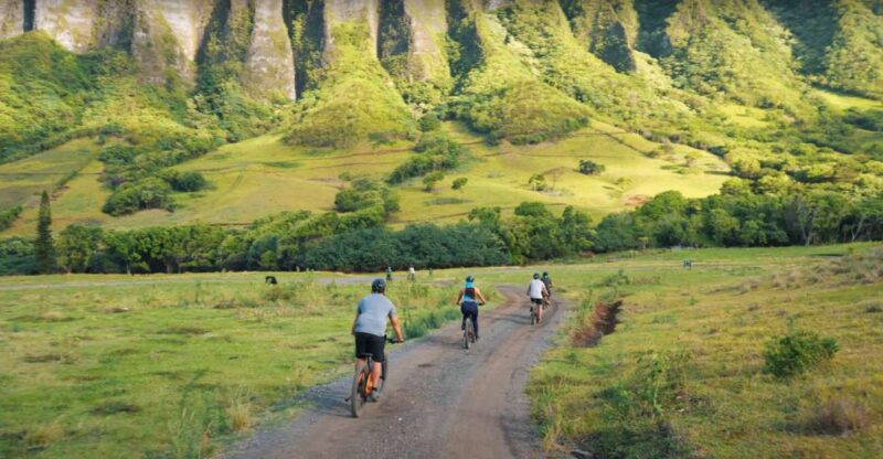 Oahu: Kualoa Electric Bike Tour - The Sum Up: Is the Kualoa Electric Bike Tour for You?