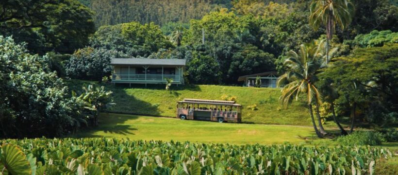 Oahu: Kualoa Farm and Secret Island Tour by Trolley - The Sum Up