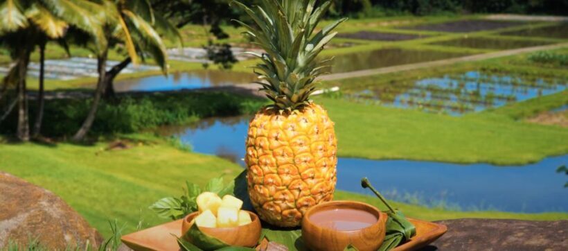 Oahu: Kualoa Farm and Secret Island Tour by Trolley - FAQ