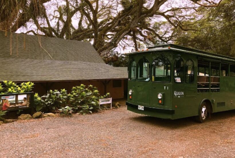 Oahu: Kualoa Movie Sites, Jungle, and Buffet Tour Package - Who Should Consider This Tour?
