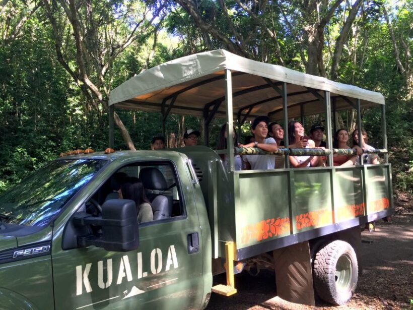 Oahu: Kualoa Movie Sites, Jungle, and Buffet Tour Package - FAQ